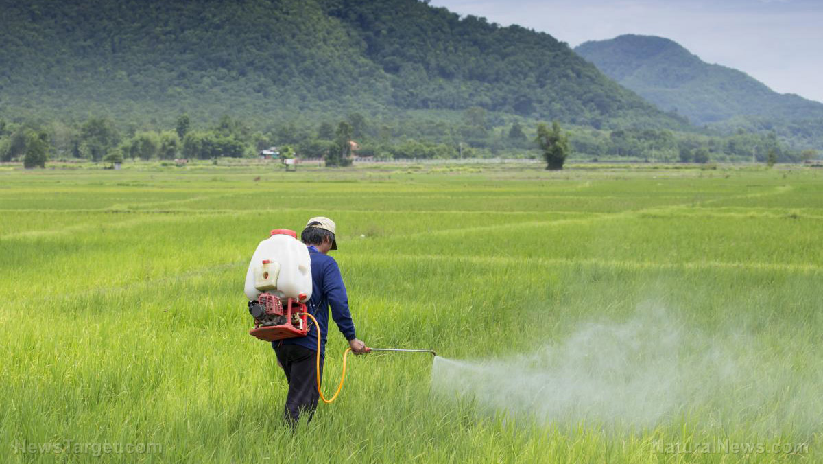 600 Lawsuits Linking Syngenta s Weed Killer To Parkinson s Set To Proceed